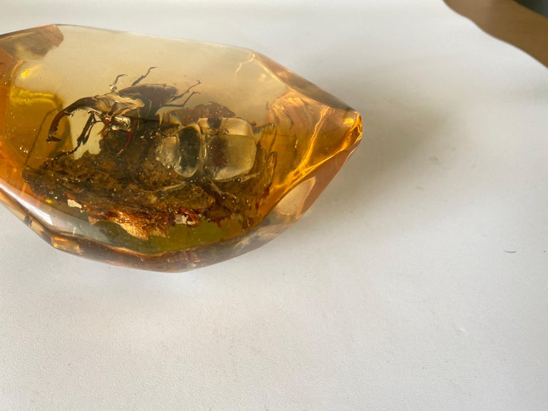 French, 1970s, Lucite Resin Cube Sculpture with beetles For Sale at 1stDibs