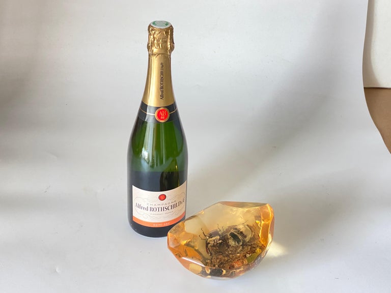 French, 1970s, Lucite Resin Cube Sculpture with beetles For Sale at 1stDibs