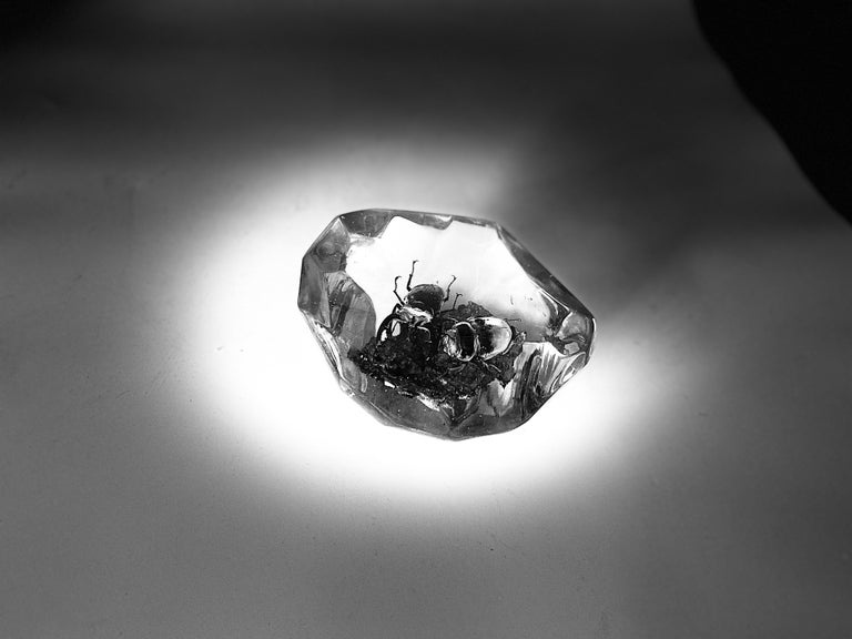 French, 1970s, Lucite Resin Cube Sculpture with beetles For Sale at 1stDibs