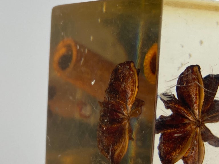 French 1970s Lucite Resin Cube Sculpture with Vanilla Parts Inclusions ...