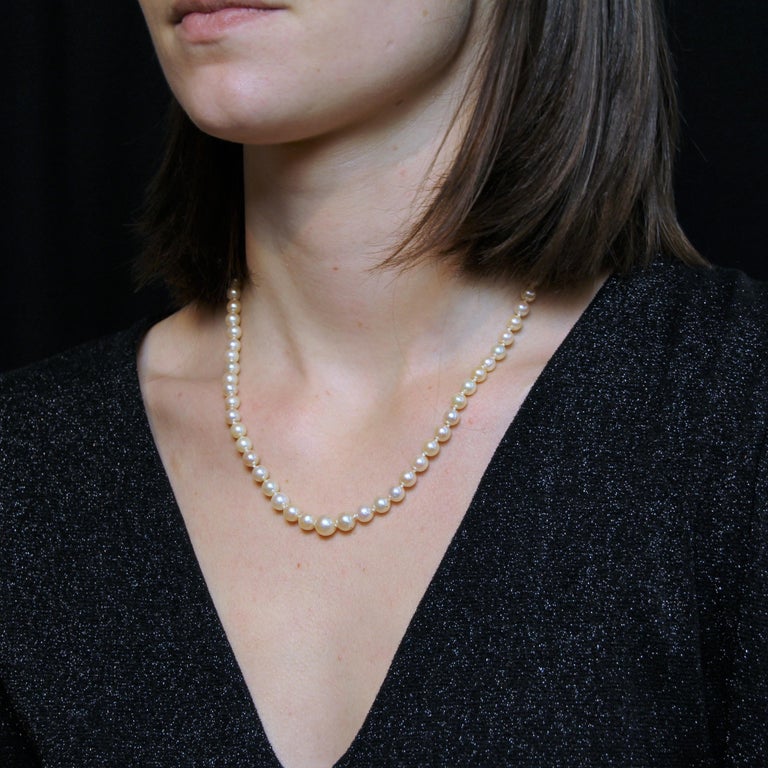 French 1980s 18 Karat Yellow Gold Clasp Cultured Pearl Necklace For ...