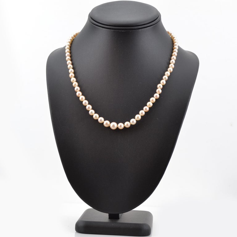 French 1980s 18 Karat Yellow Gold Clasp Cultured Pearl Necklace For ...