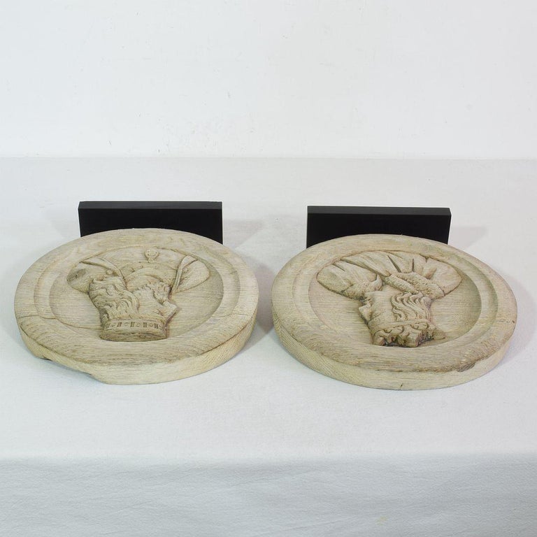 French 19th Century Carved Oak Panels/ Medallions For Sale at 1stDibs