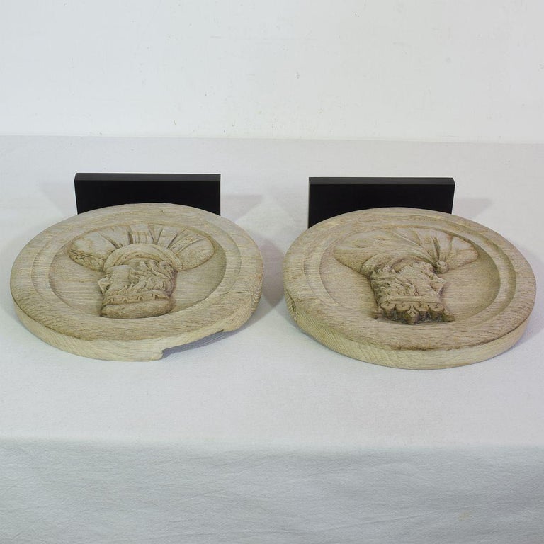 French, 19th Century Carved Oak Panels/ Medallions For Sale at 1stDibs