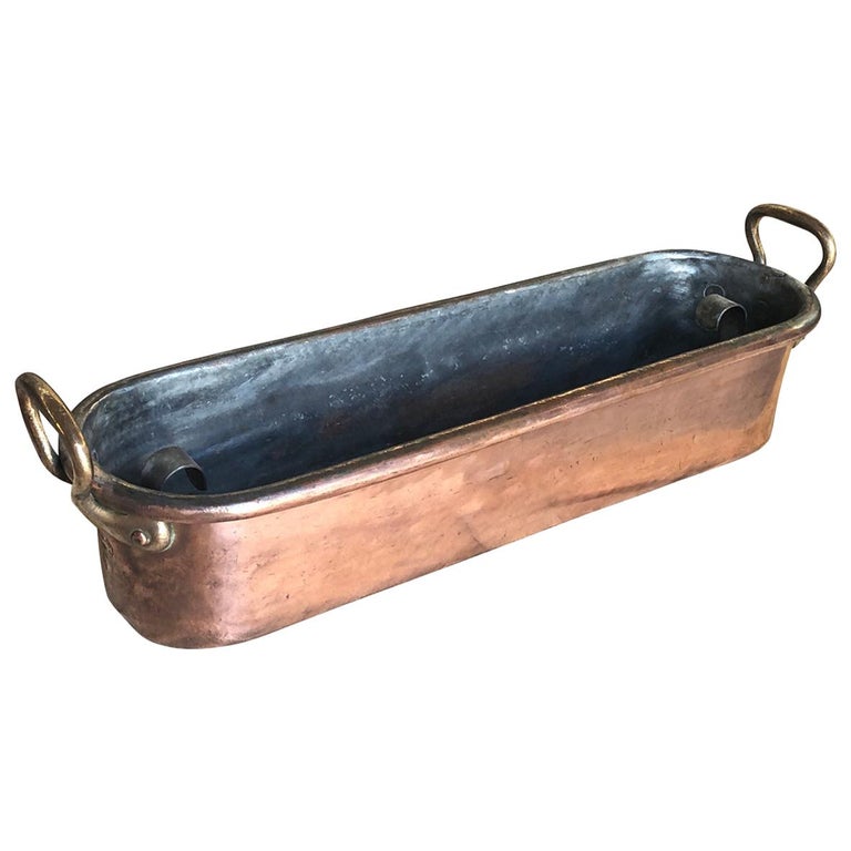 French 19th Century Copper Fish Pan at 1stDibs