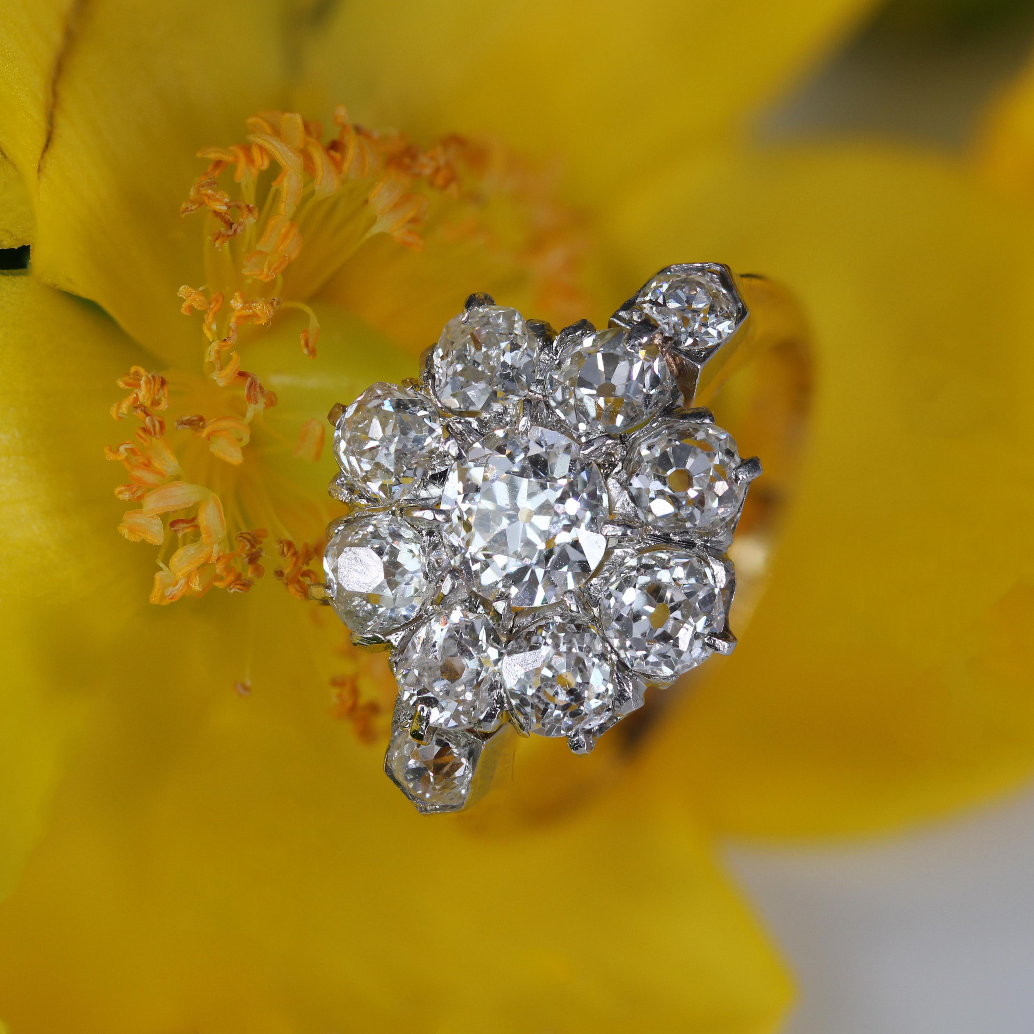 French 19th Century Diamonds 18 Karat Yellow Gold Platinum Daisy Ring ...