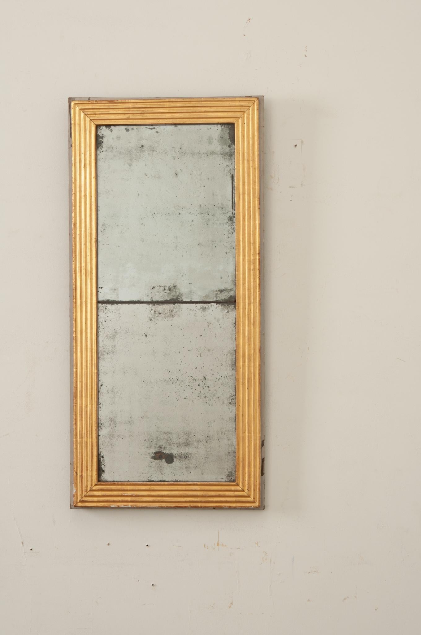 French 19th Century Gold Gilt Mirror For Sale at 1stDibs