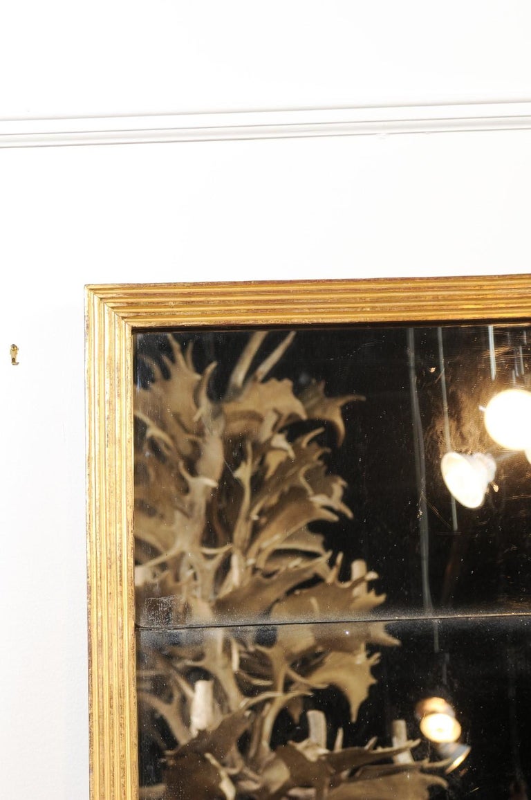 French 19th Century Reeded Giltwood Mirror with Original Split Mercury ...