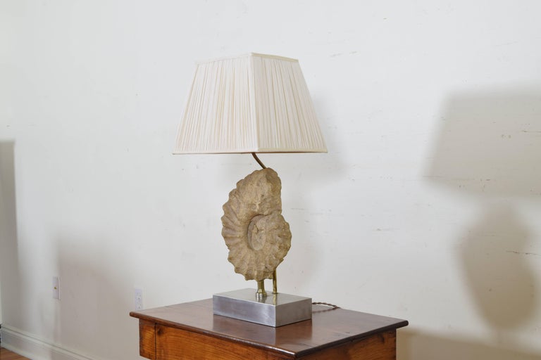 French Ammonite Fossil Mounted as a Table Lamp on a Brushed Steel Base ...