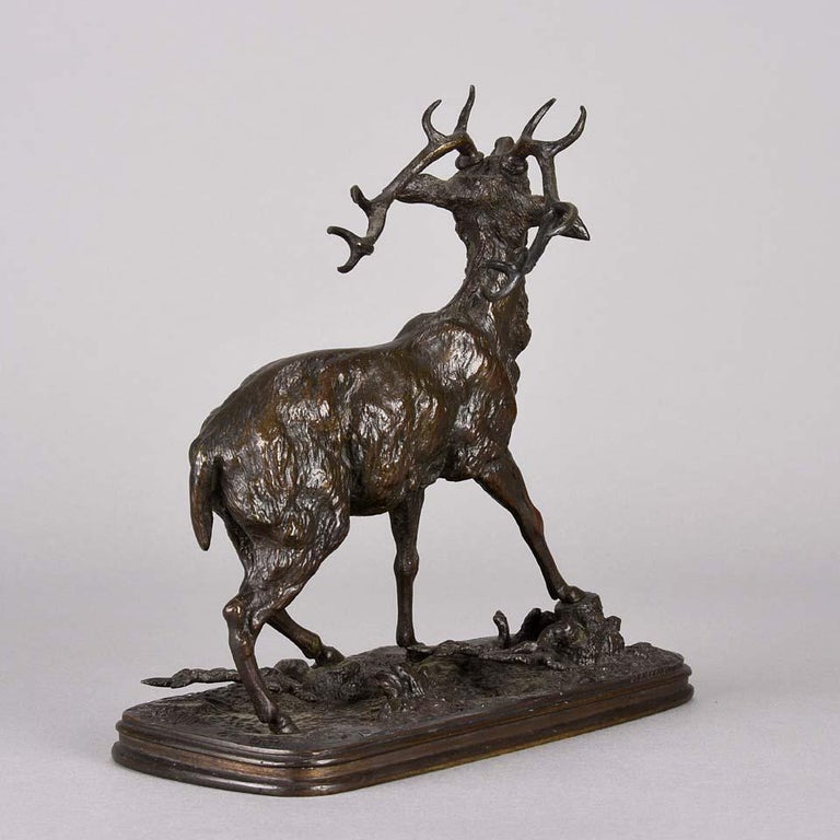 French Animalier Bronze Study Entitled "Cerf Douze Cors" by Ferdinand ...