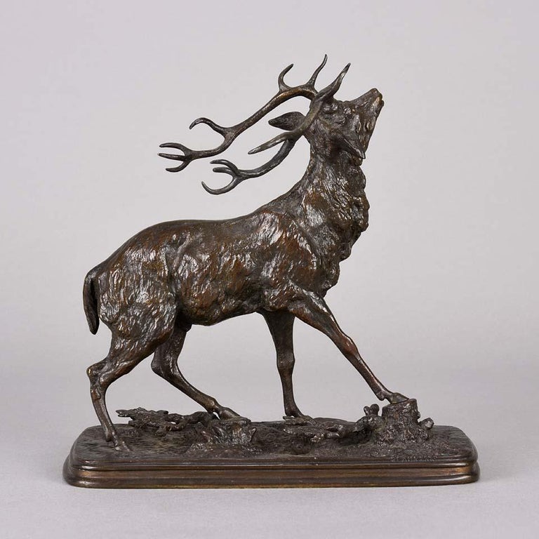 French Animalier Bronze Study Entitled "Cerf Douze Cors" by Ferdinand ...