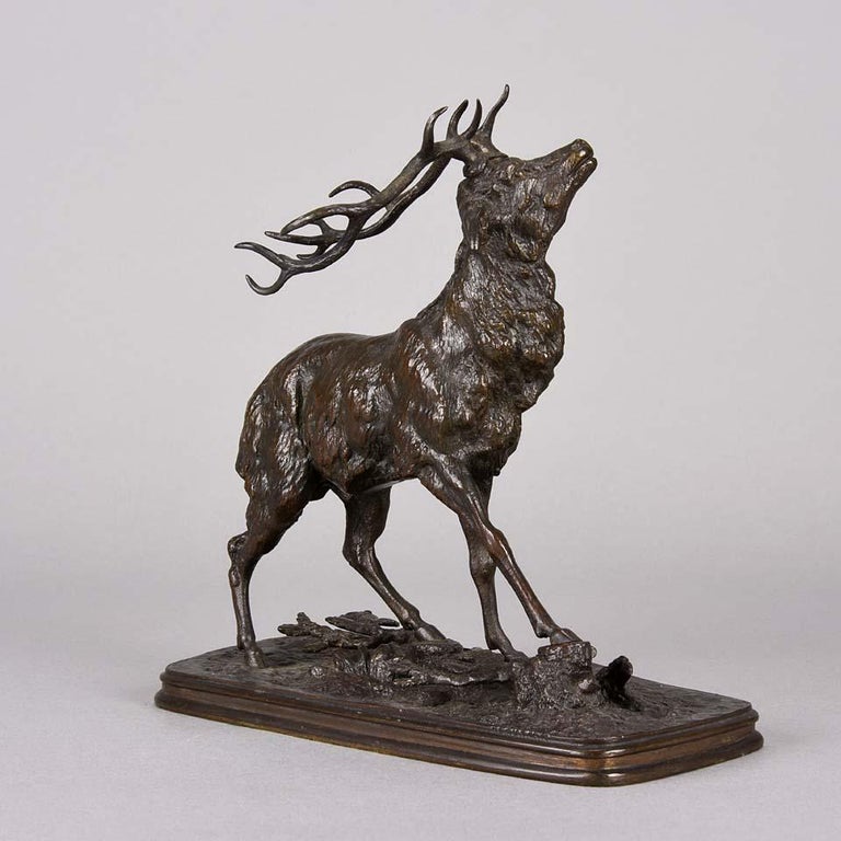 French Animalier Bronze Study Entitled "Cerf Douze Cors" by Ferdinand ...
