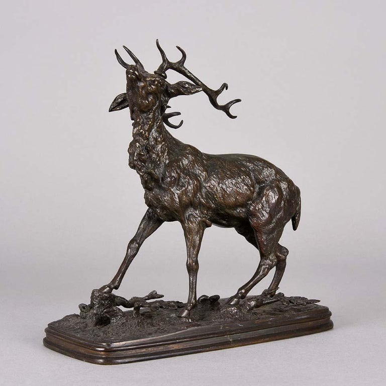 French Animalier Bronze Study Entitled "Cerf Douze Cors" by Ferdinand ...