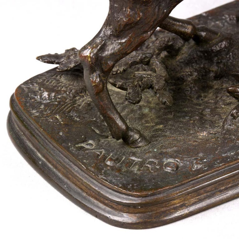 French Animalier Bronze Study Entitled "Cerf Douze Cors" by Ferdinand ...