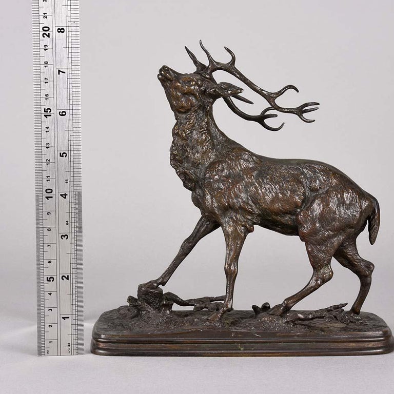 French Animalier Bronze Study Entitled "Cerf Douze Cors" by Ferdinand ...