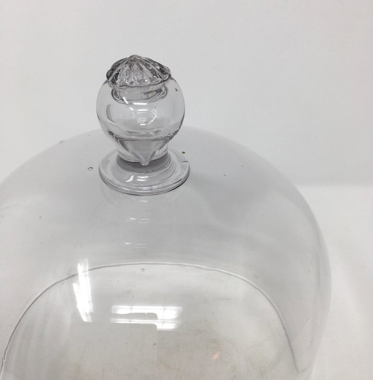French Antique Glass Dome Cloche at 1stDibs