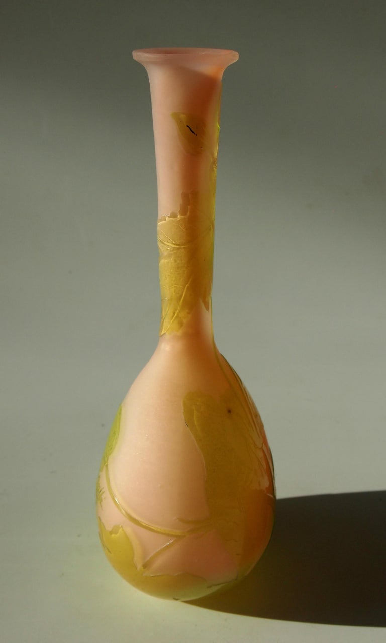 French Art Nouveau Emile Galle Cameo Glass Botanical Banjo Vase, circa ...