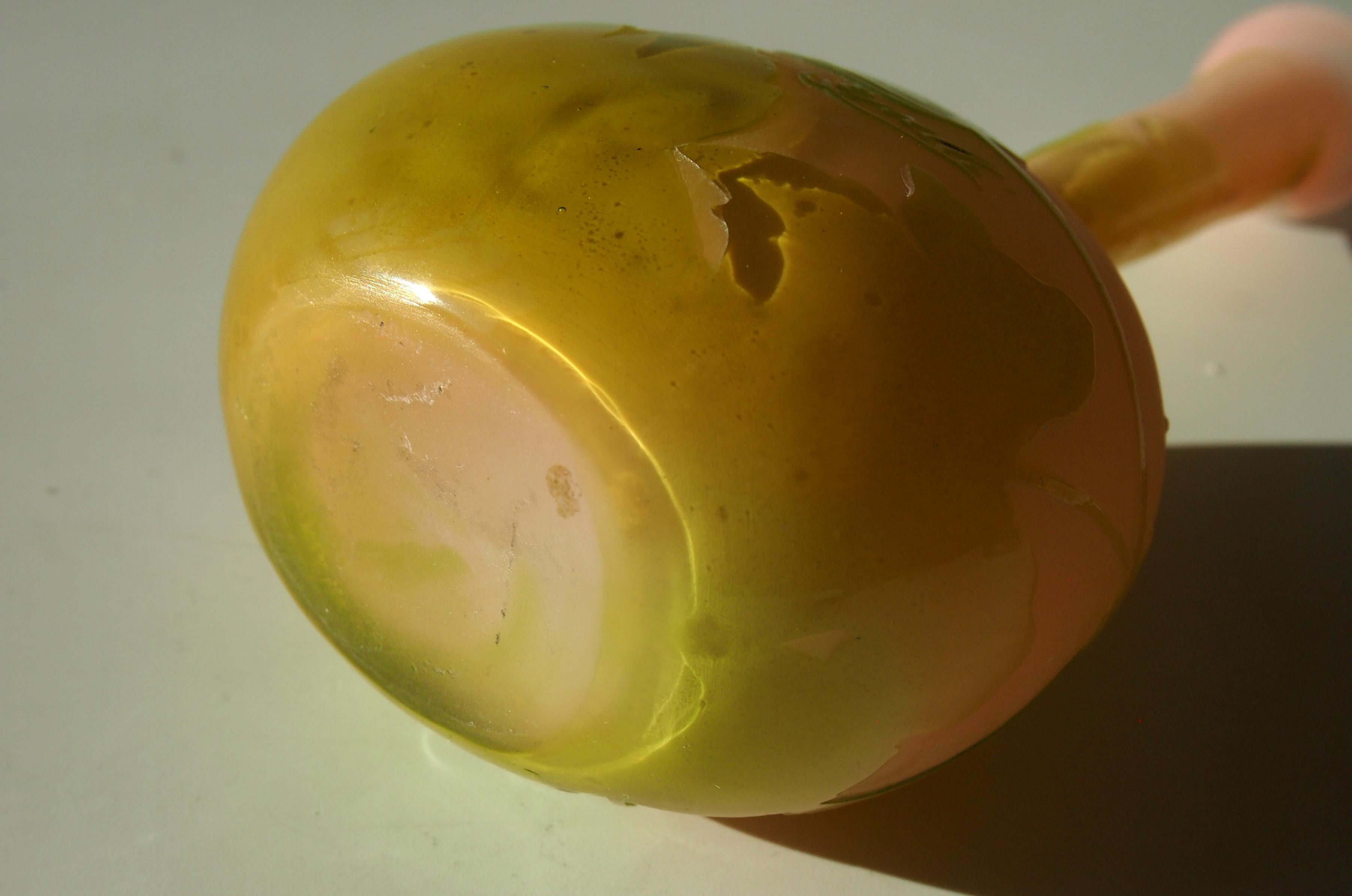 French Art Nouveau Emile Galle Cameo Glass Botanical Banjo Vase, circa ...