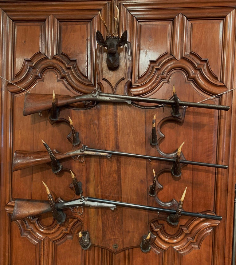 French Black Forest Carved Gun or Coat Rack with Horns and Deer Head ...