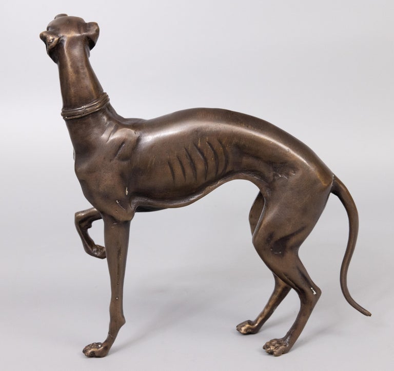 French Bronze Greyhound Whippet Dog Sculpture Figurine, circa 1960 For ...
