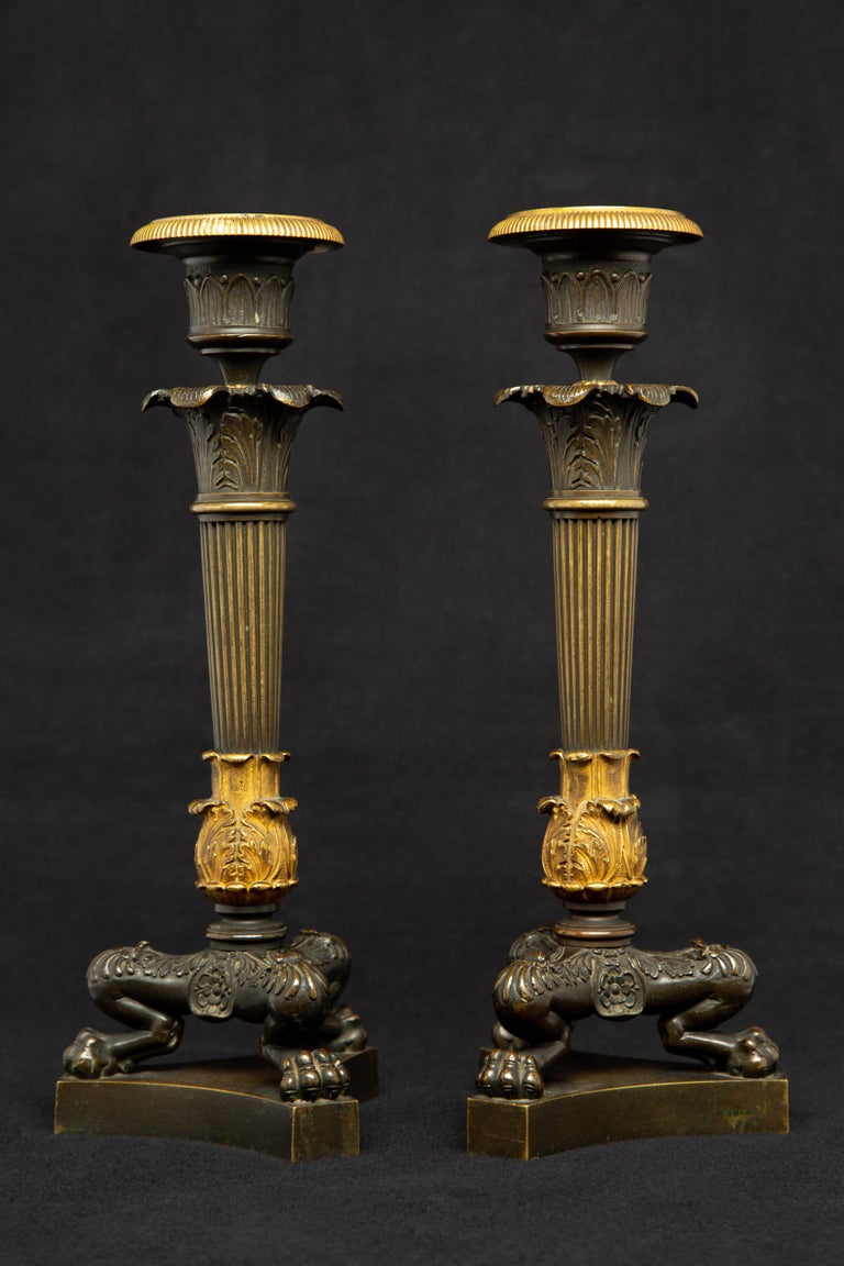 19th Century French Bronze Lions Paw Candle Sticks, Pair For Sale at ...