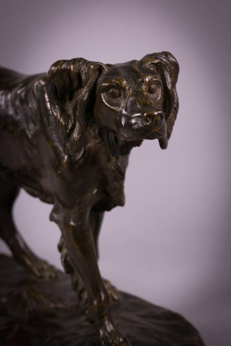 French Bronze of a 'Setter' Dog, by Jules Moigniez For Sale at 1stDibs ...