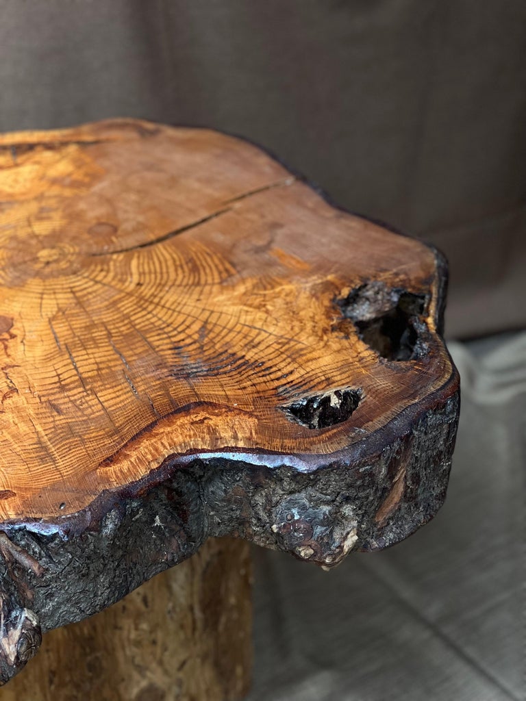 French Brutalist Tree Trunk Coffee Table, Nice Joinery, 1950s Handmade ...