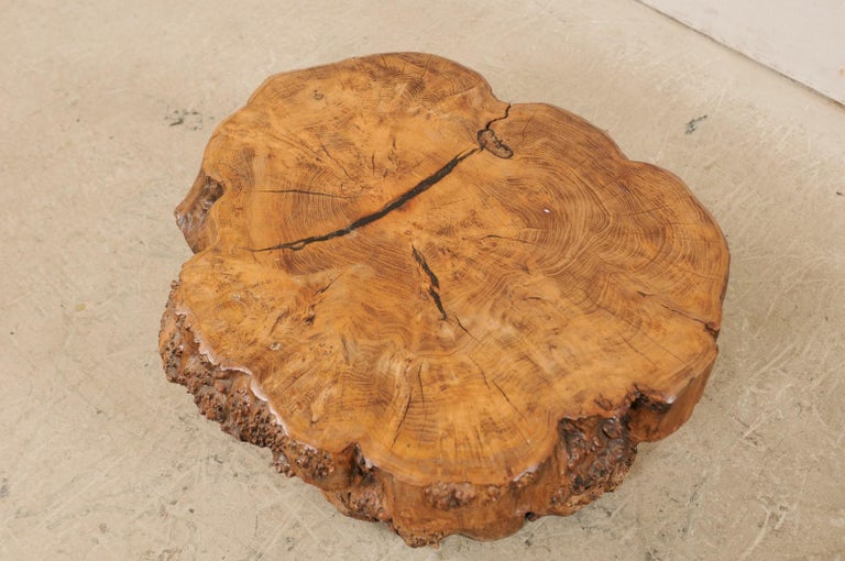 French Burl Wood Slab Top Coffee Table with Live-Edge Burl Wood Trunk ...