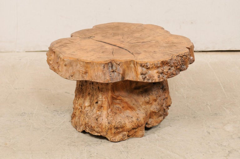French Burl Wood Slab Top Coffee Table with Live-Edge Burl Wood Trunk ...