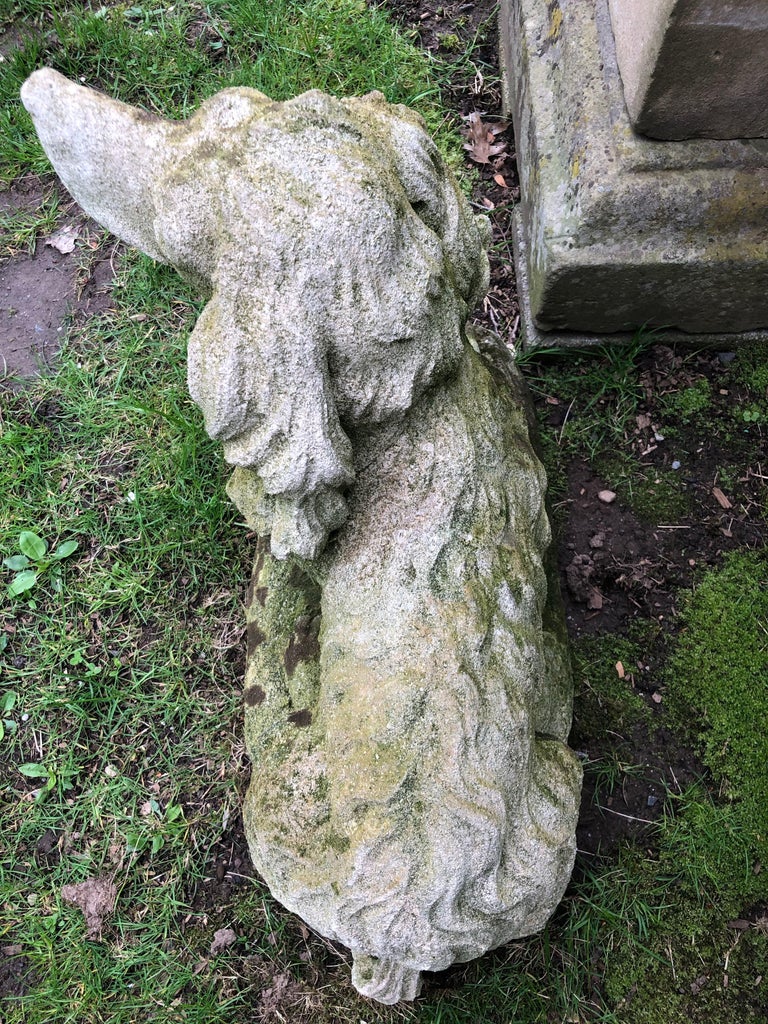 French Carved Limestone Curly-Coated Spaniel Dog Statue at 1stDibs