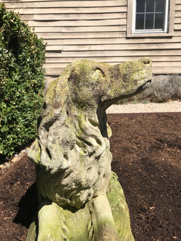 French Carved Limestone Curly-Coated Spaniel Dog Statue at 1stDibs