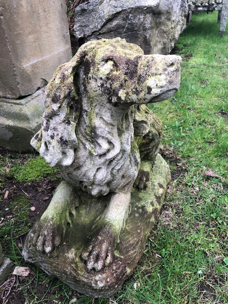 French Carved Limestone Curly-Coated Spaniel Dog Statue at 1stDibs