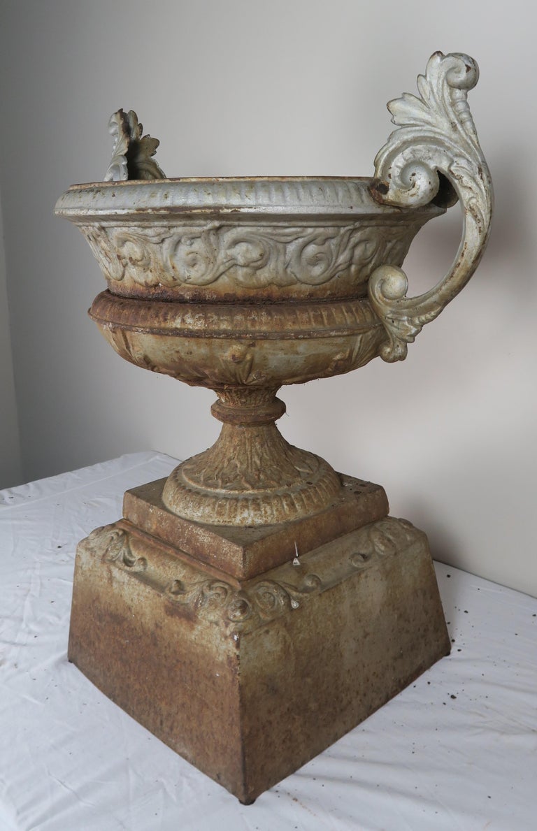 French Cast Iron Garden Planter at 1stDibs