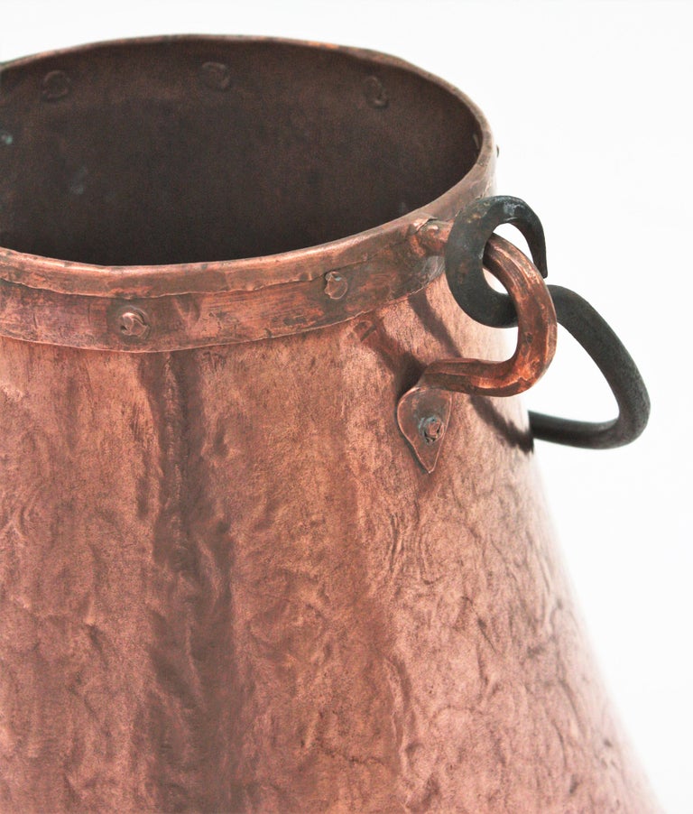 French Copper Tall Cauldron or Planter with Iron Handle For Sale at 1stDibs
