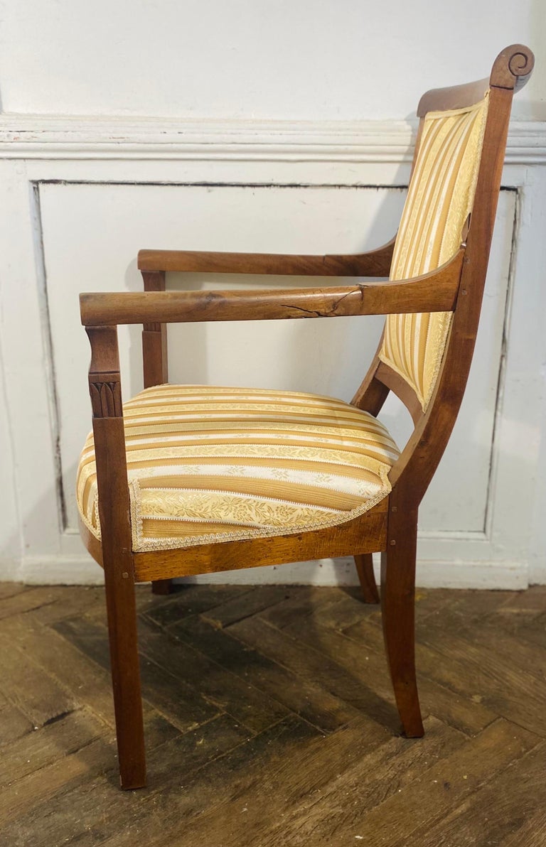 French Directoire Armchair Beech Gold and White Upholstery France 19th ...
