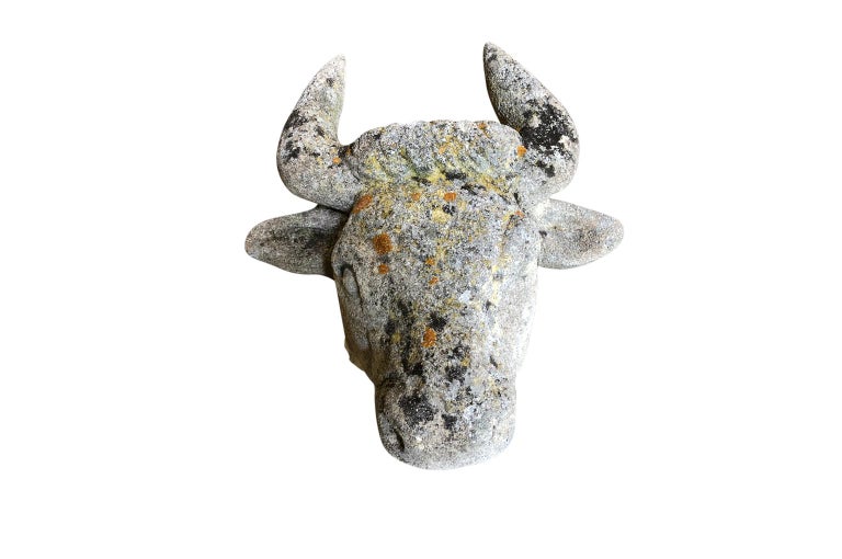 French Early 20th Century Stone Bull's Head at 1stDibs