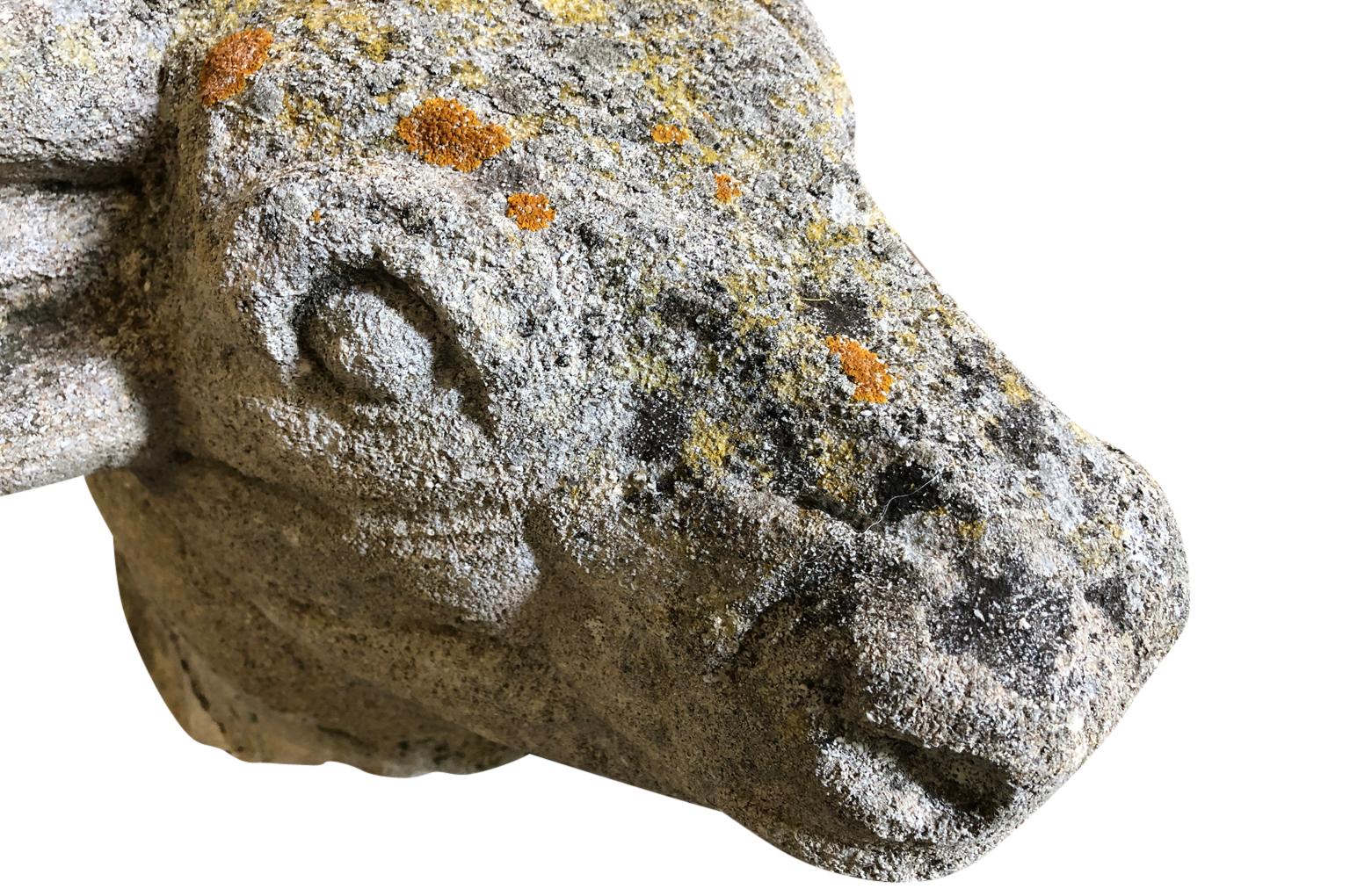 French Early 20th Century Stone Bull's Head at 1stDibs