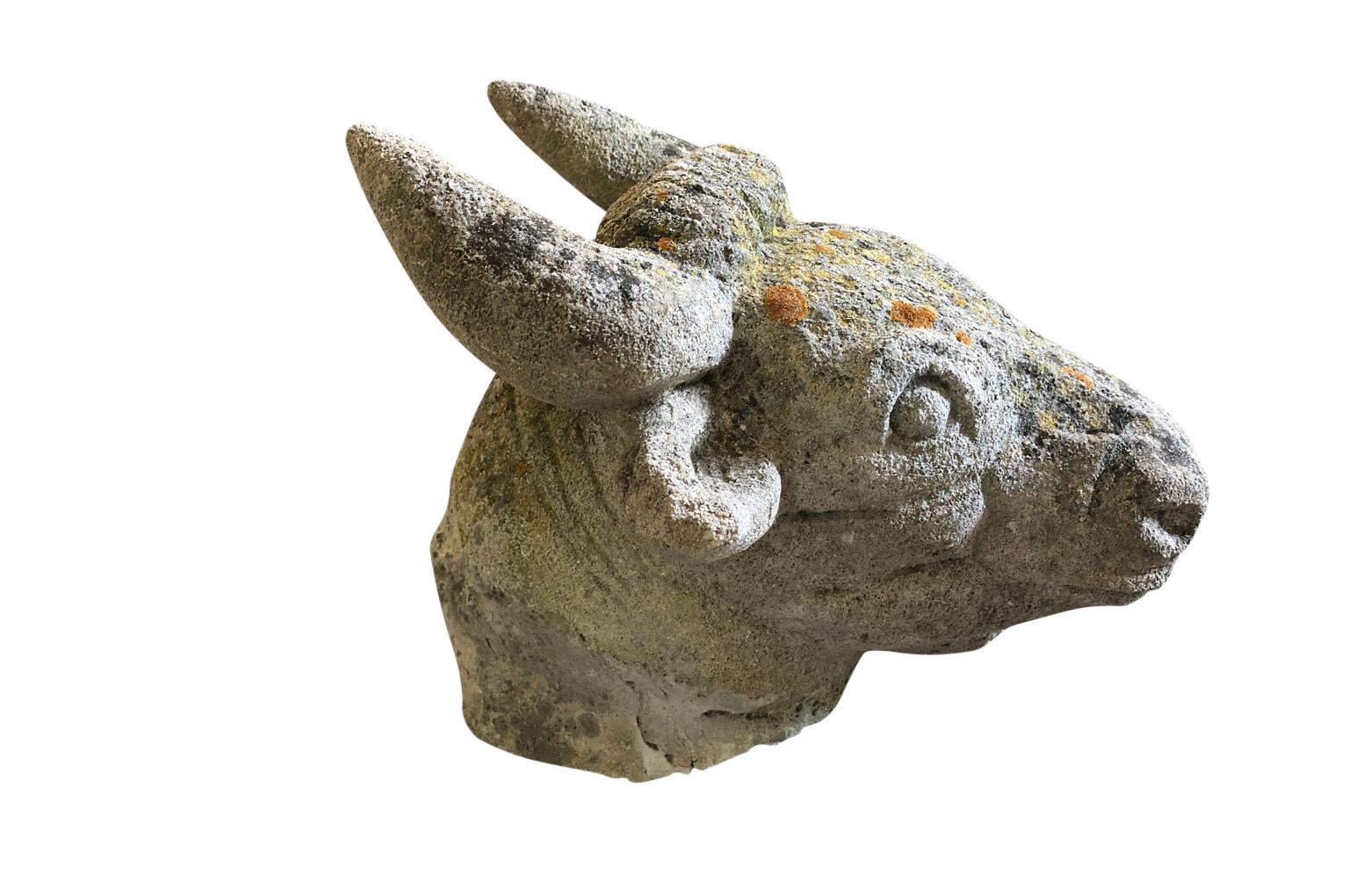 French Early 20th Century Stone Bull's Head at 1stDibs