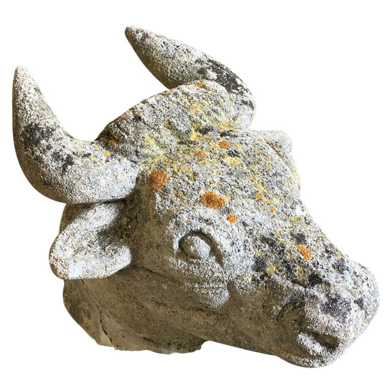 French Early 20th Century Stone Bull's Head at 1stDibs