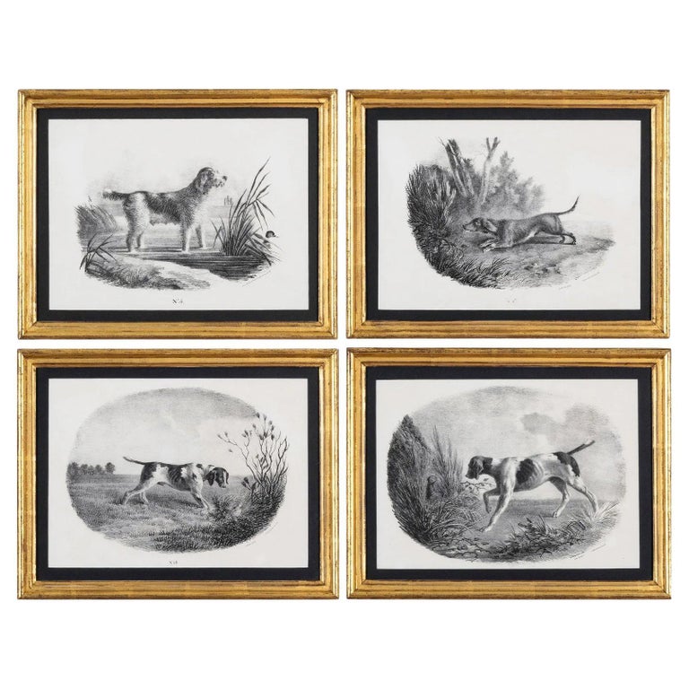 French Engravings of Hunting Dogs at 1stDibs