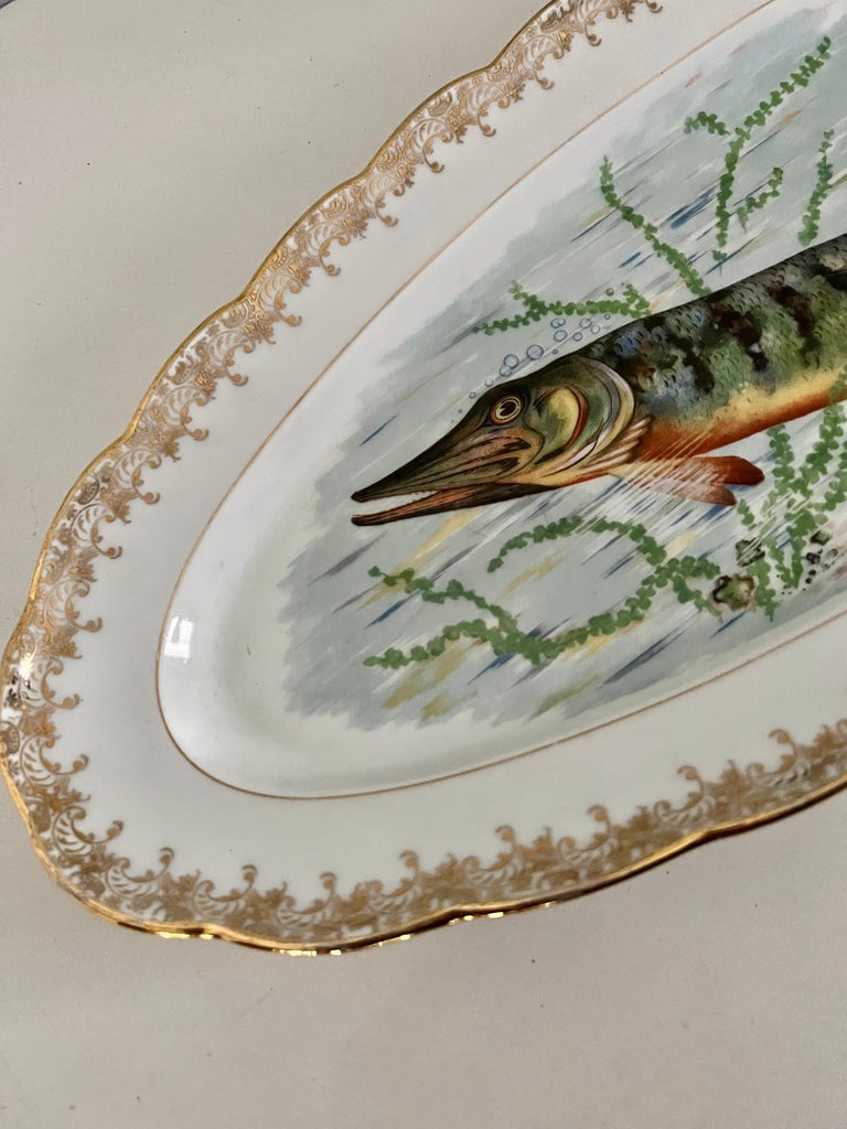 French Fish Platter with Gold Border For Sale at 1stDibs