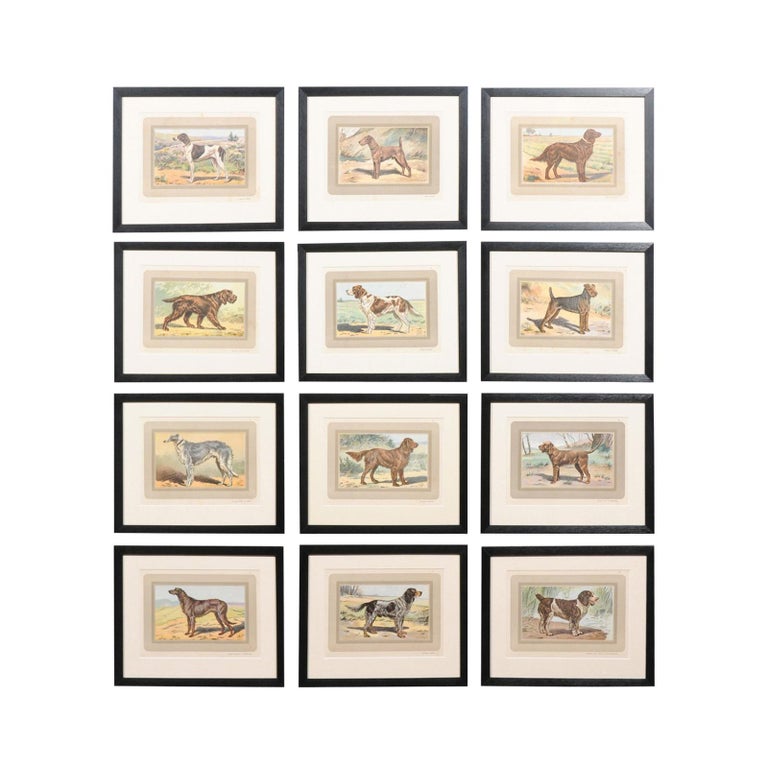 French Framed and Colored Lithographs Depicting Dogs at 1stDibs
