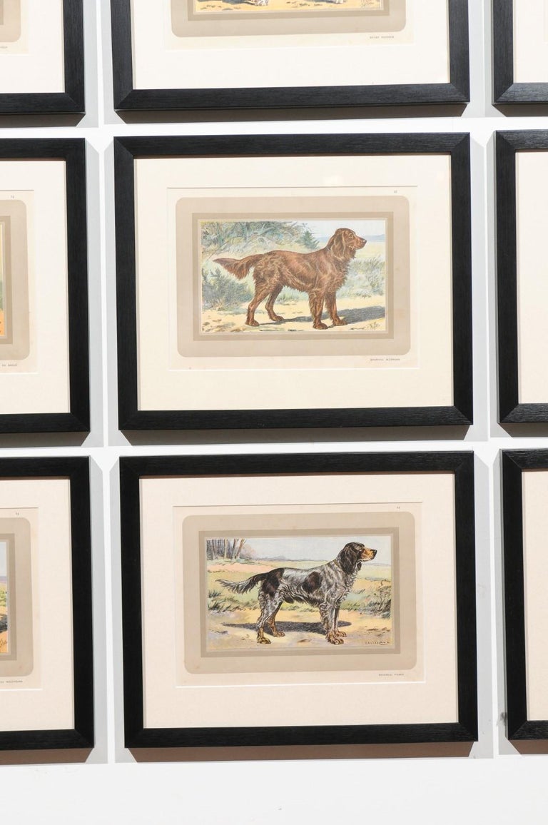 French Framed and Colored Lithographs Depicting Dogs at 1stDibs