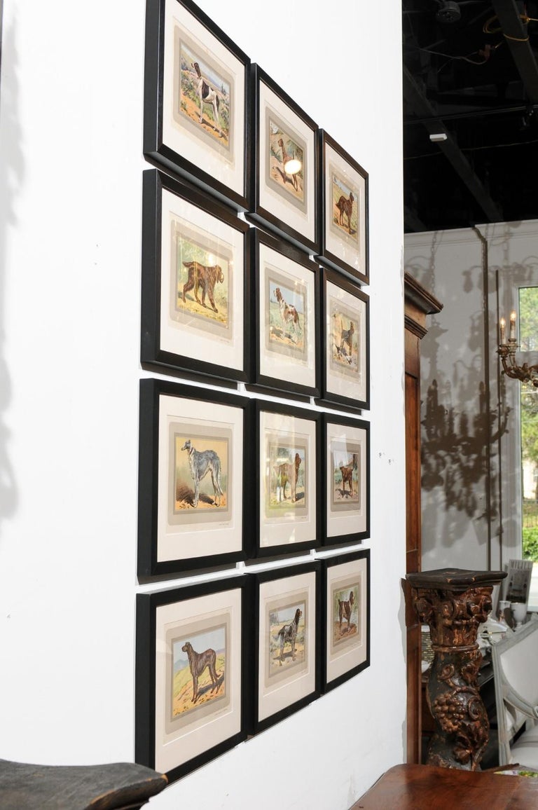 French Framed and Colored Lithographs Depicting Dogs at 1stDibs