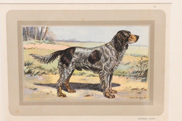 French Framed and Colored Lithographs Depicting Dogs at 1stDibs
