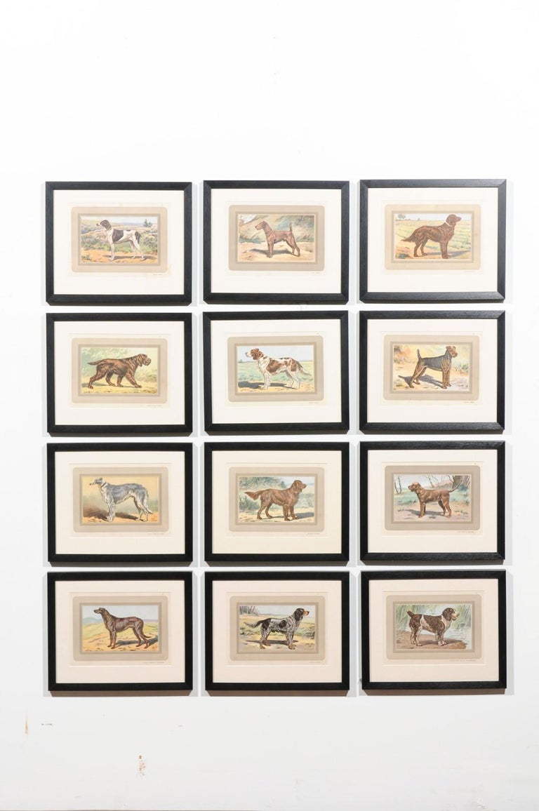 French Framed and Colored Lithographs Depicting Dogs at 1stDibs