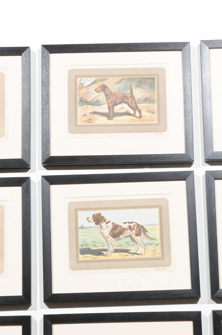 French Framed and Colored Lithographs Depicting Dogs at 1stDibs
