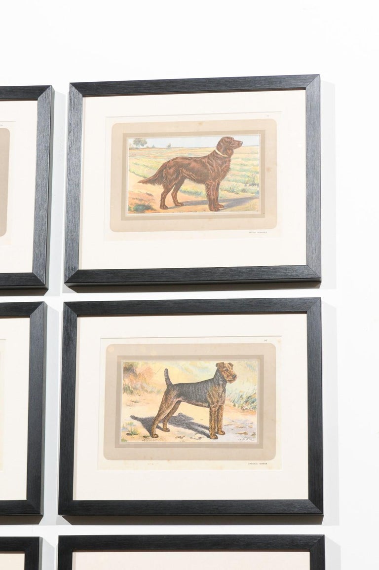 French Framed and Colored Lithographs Depicting Dogs at 1stDibs