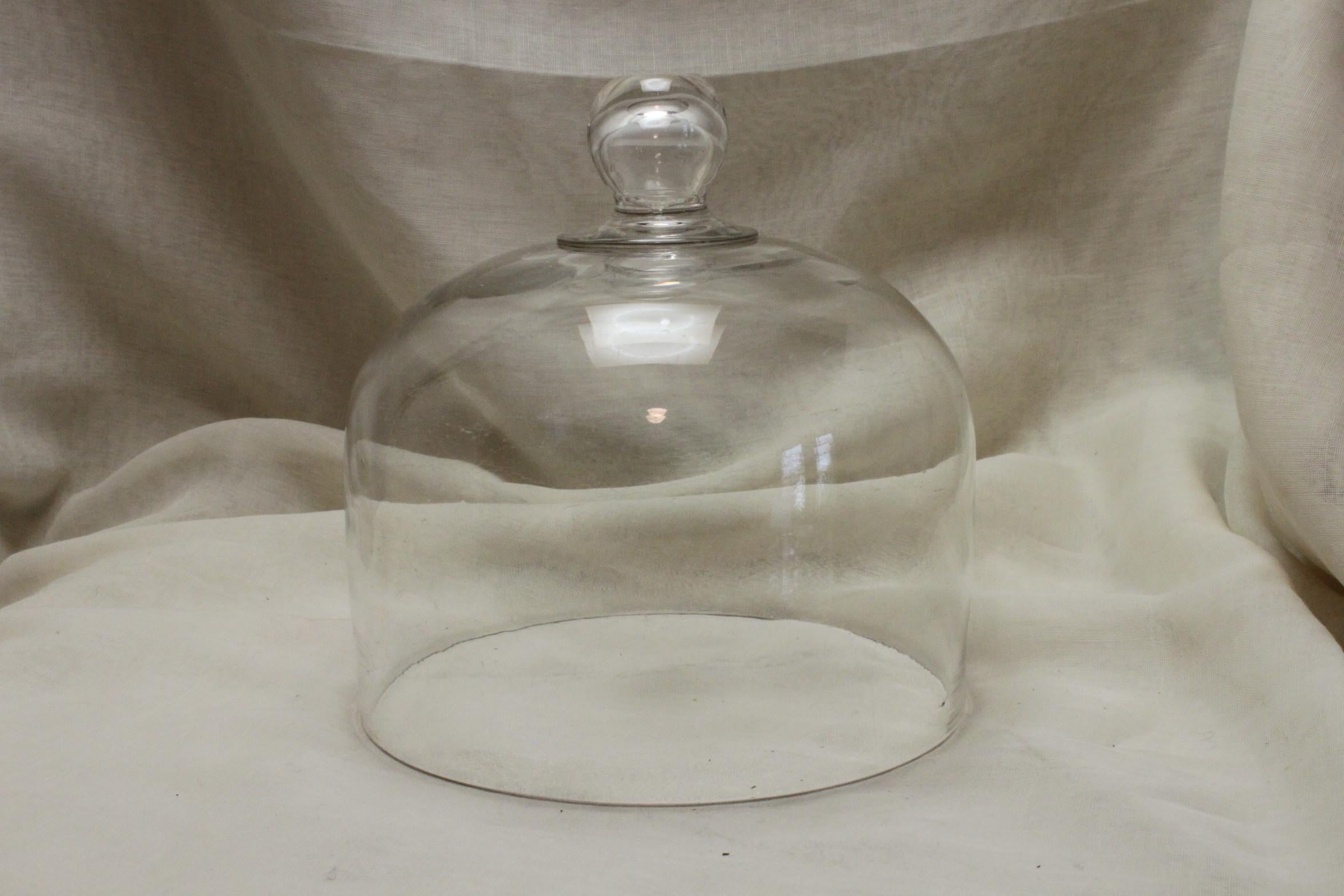 French Glass Food Dome or Cloche at 1stDibs
