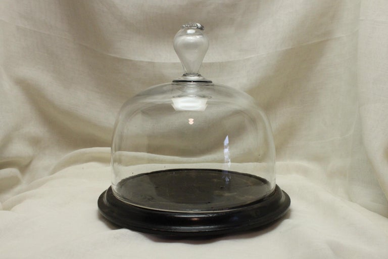 French Glass Food Dome or Cloche on Stand For Sale at 1stDibs